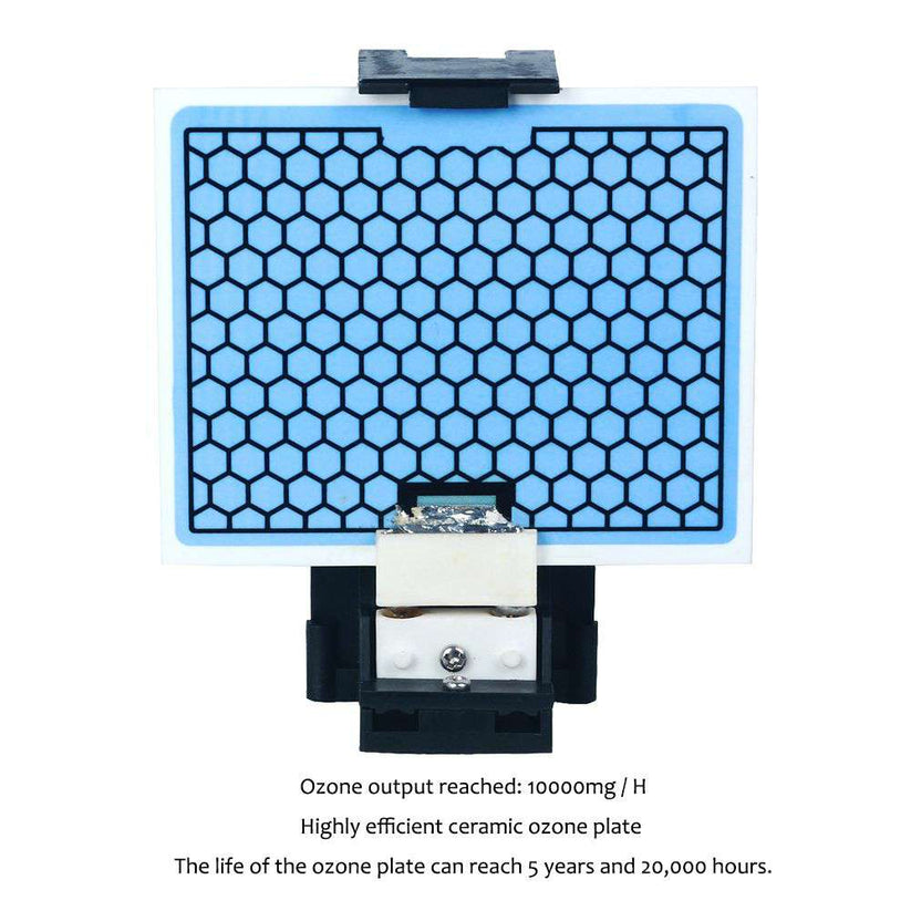 10G Blue Ozone Generator For Hotel Home Farm Car Air Purification and ...